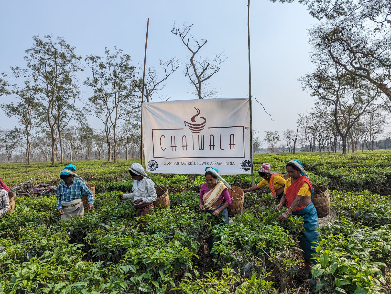 Handcrafted & High Quality Organic Chai Blends, Candles and Spices ...